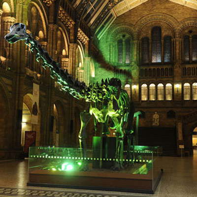 The Natural History Museum