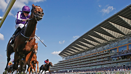 Ascot Racecourse Tickets 2FOR1 Offers