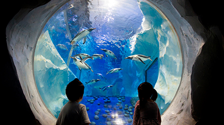 The National Sea Life Centre Tickets 1/3 OFF Offers | National Rail