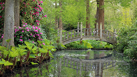 Winterbourne House and Garden 2FOR1 Tickets Offers